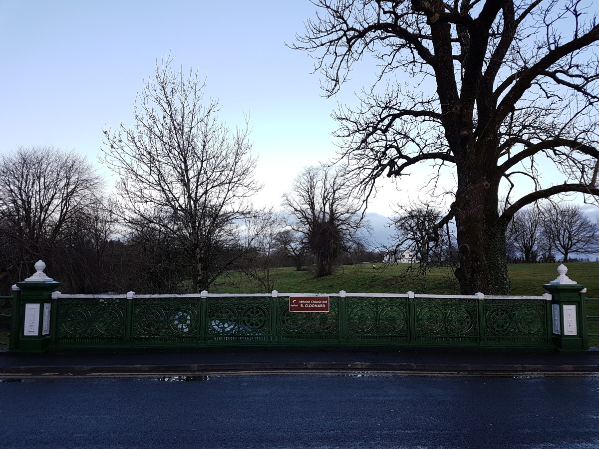 Castlerea 130118 – parkruntourist